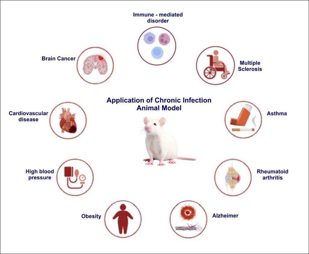 Animal Model Development for Chronic Inflammation - Trials360