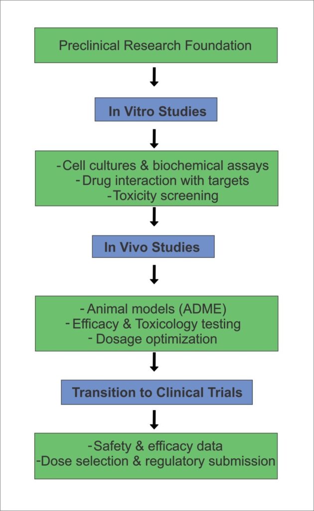 Preclinical Research: The Foundation of Successful Drug Development ...